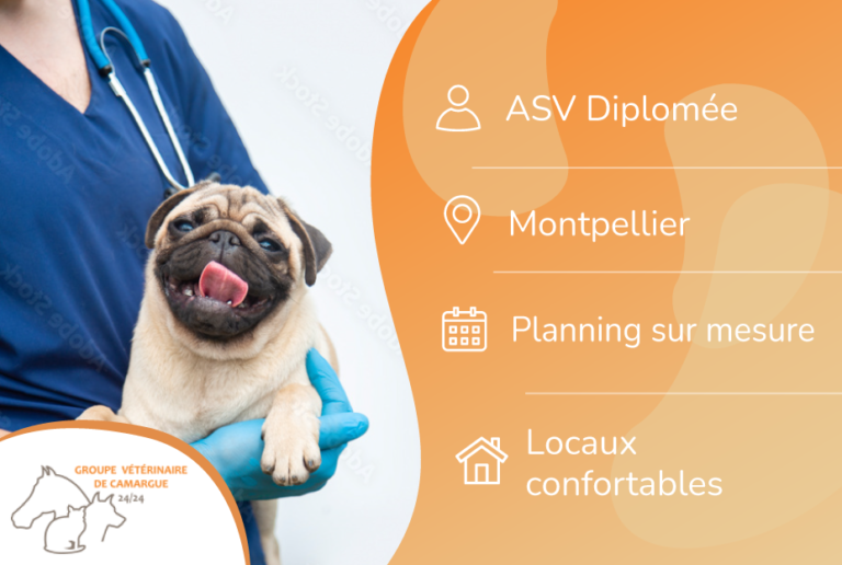 Offre d'emploi ASV diplômé(e) - Infirmière vétérinaire